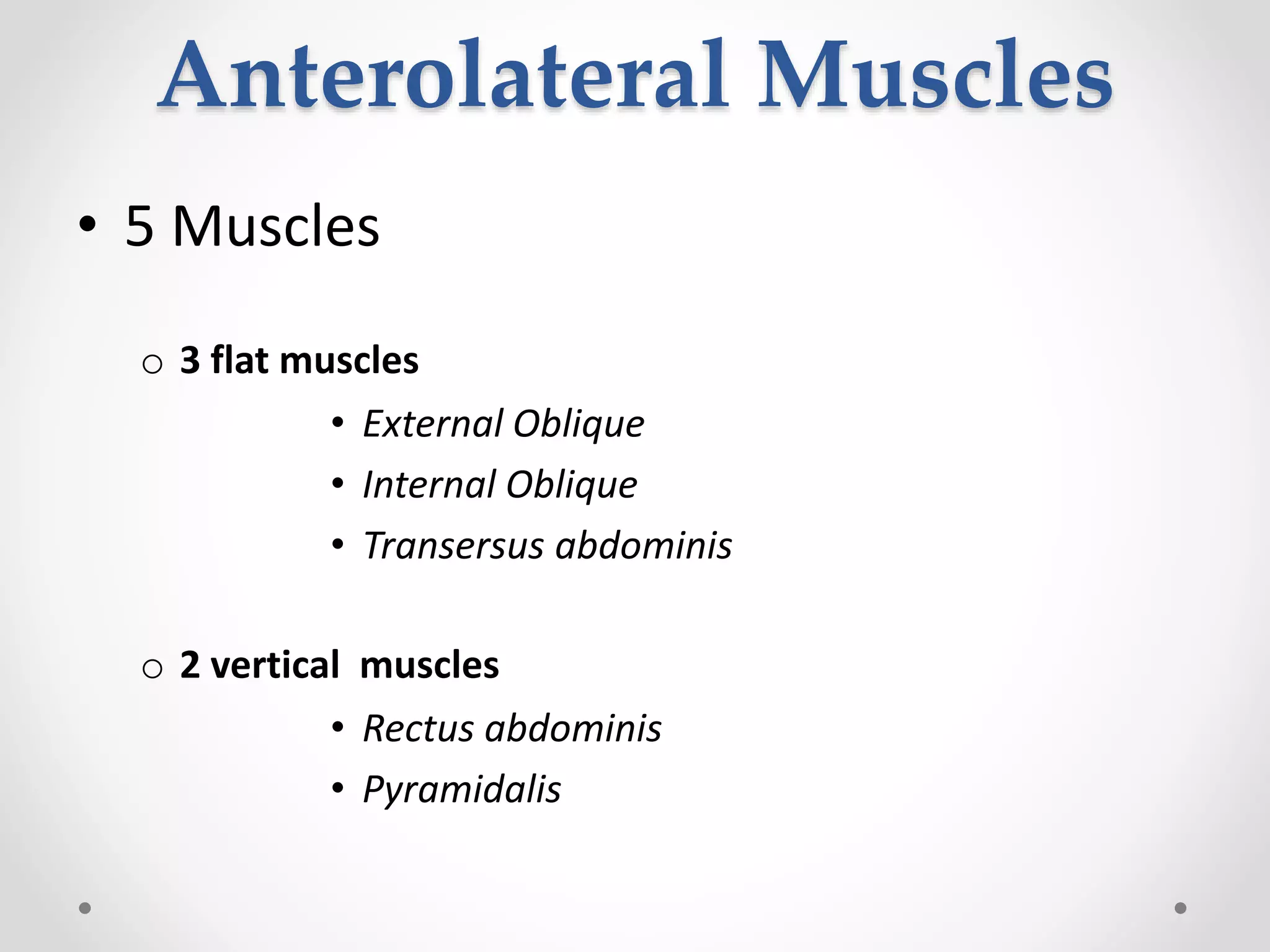 Surgical Anatomy of anterior abdominal wall | PPTX