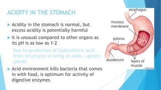 Antacids | PPTX