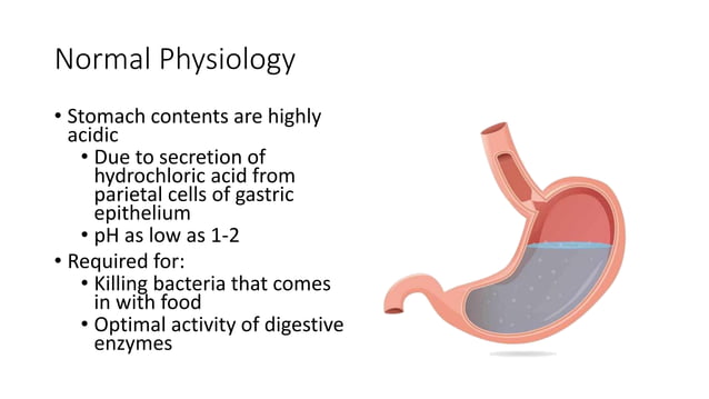 Antacids | PPTX | Digestive Disorders | Diseases and Conditions