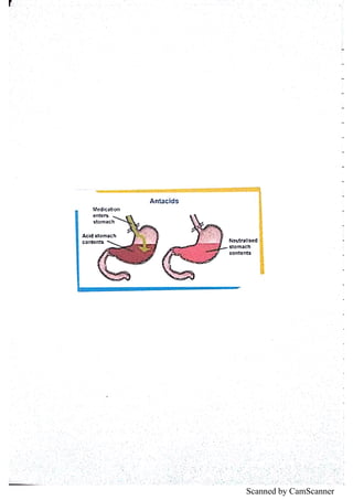 ANTACIDS - Chemistry Investigatory Project Class 12 CBSE | PDF