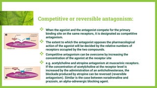 Antagonism (Raj Mendpara).pdf