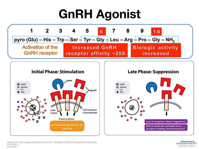 GnRH agonist versus antagonist and impact on cycle outcome | PPT