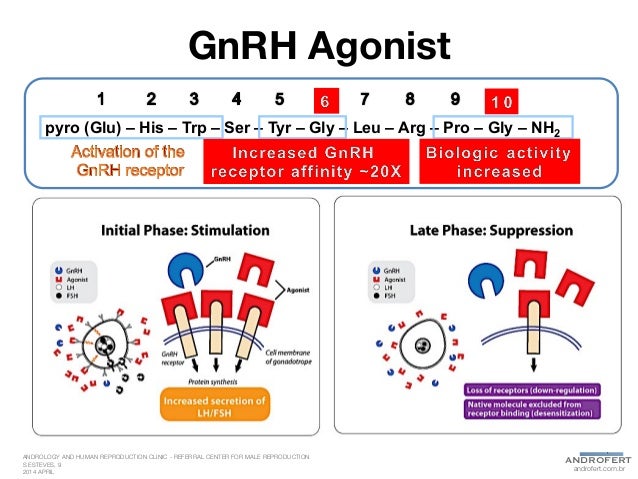 GnRH agonist versus antagonist and impact on cycle outcome