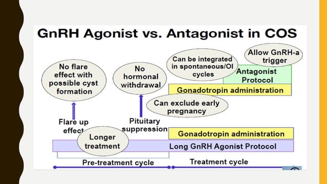 GnRH Agonist Versus GnRH Antagonist | PPTX | Infertility | Reproductive ...