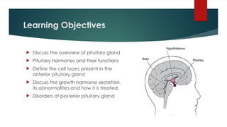 Anterior and Posterior Pituitary.pptxxxx | PPTX