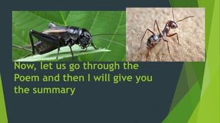 Ant and the cricket ppt | PPTX