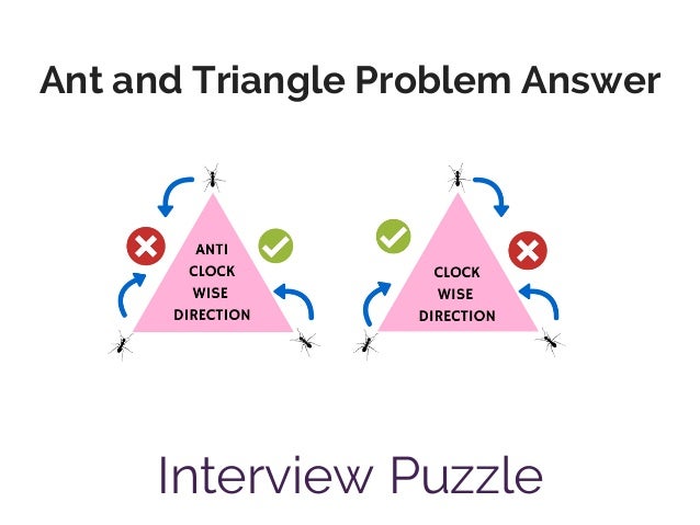 ant and triangle problem answer