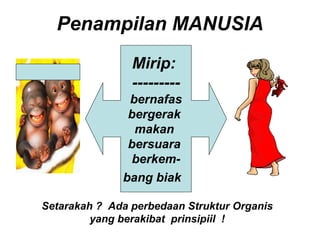 Antara manusia dan hewan | PPT