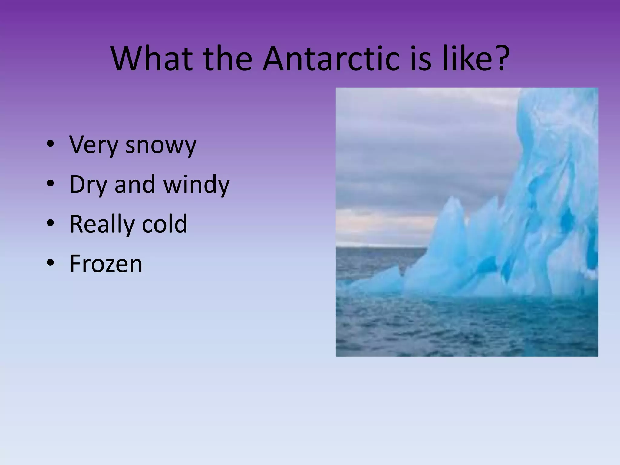 Antarctic | PPT