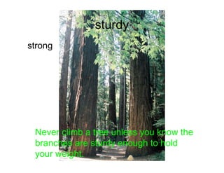 Antarctic Journal | PPT