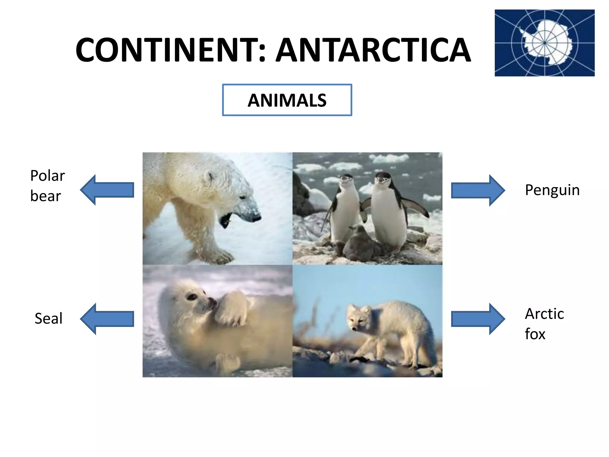 Antarctica | PPTX