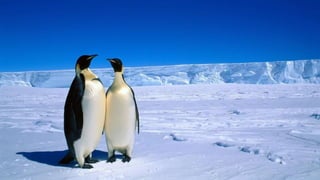 ENVIRONMENTAL SCIENCE - Antarctica | PPTX