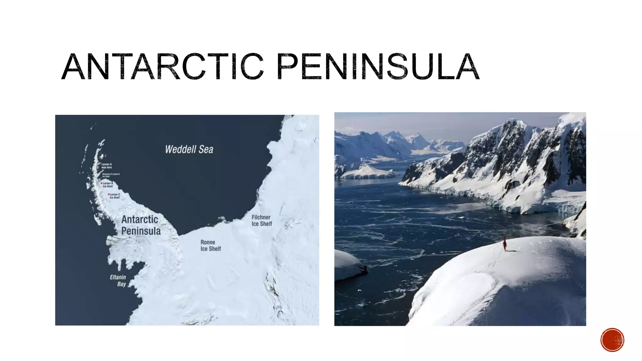 Antarctica | PPTX