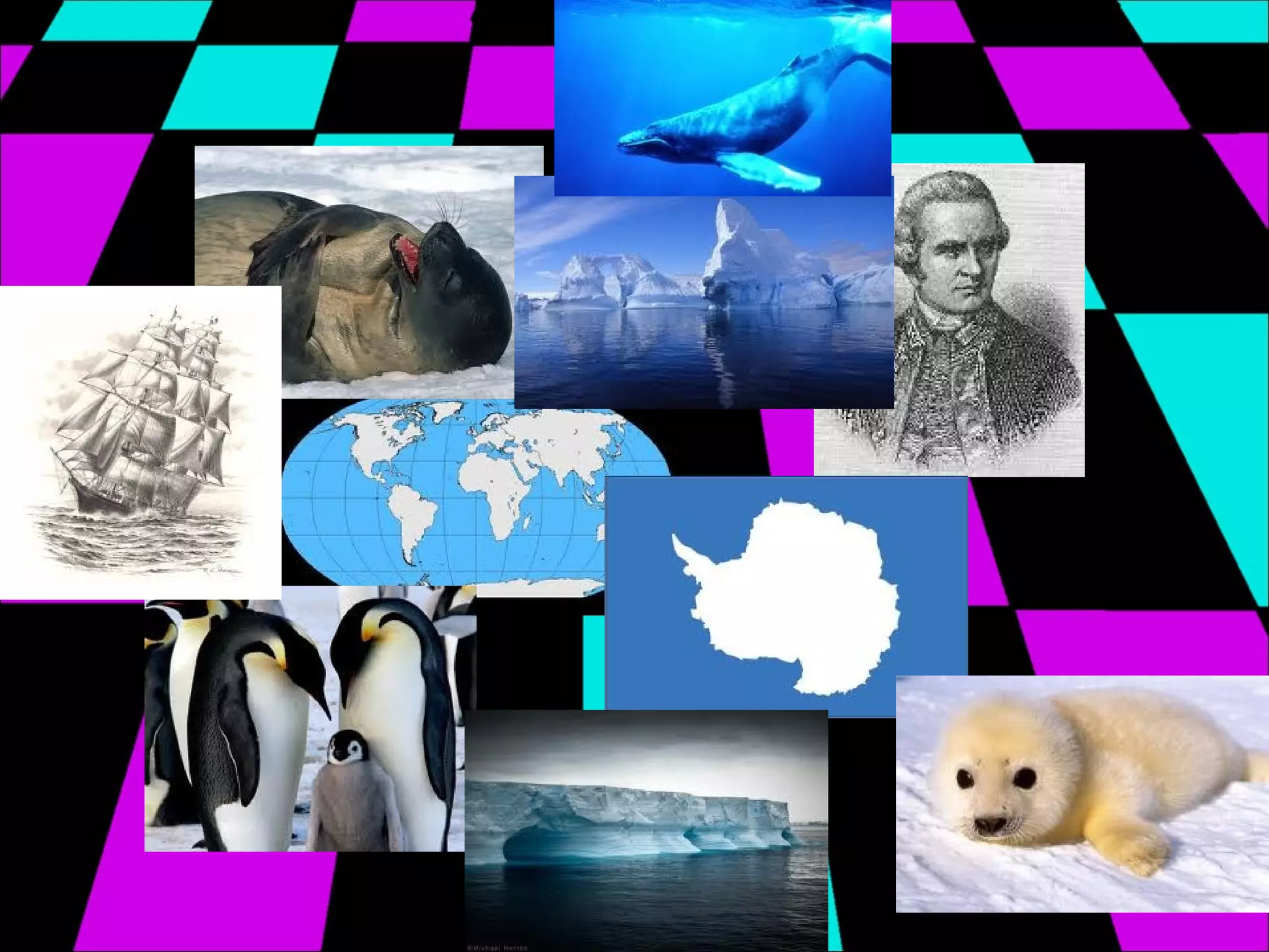 Antarctica powerpoint- | PPT