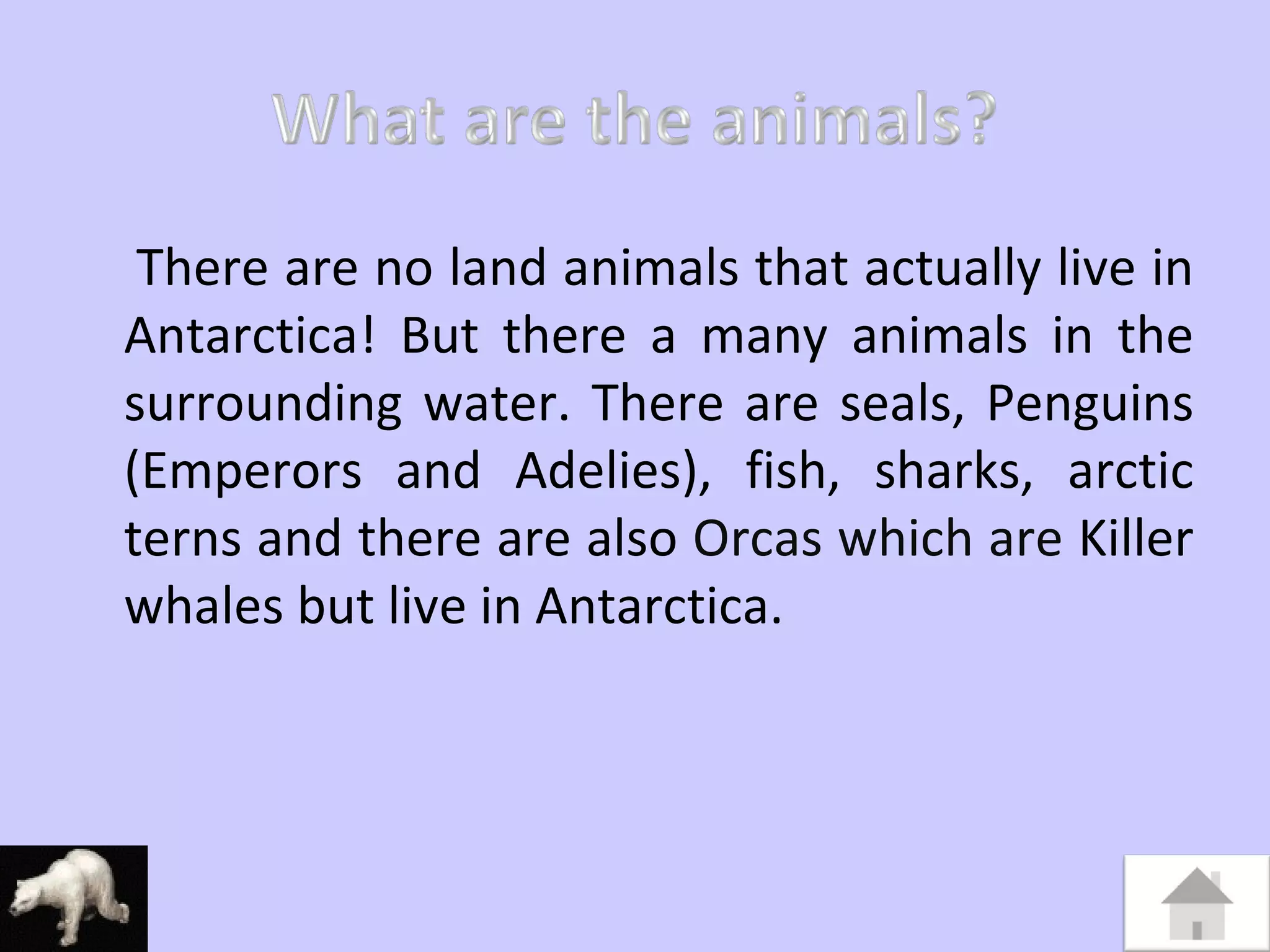 Antarctica powerpoint- | PPT