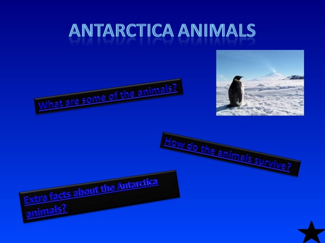 Antarctica powerpoint- | PPT