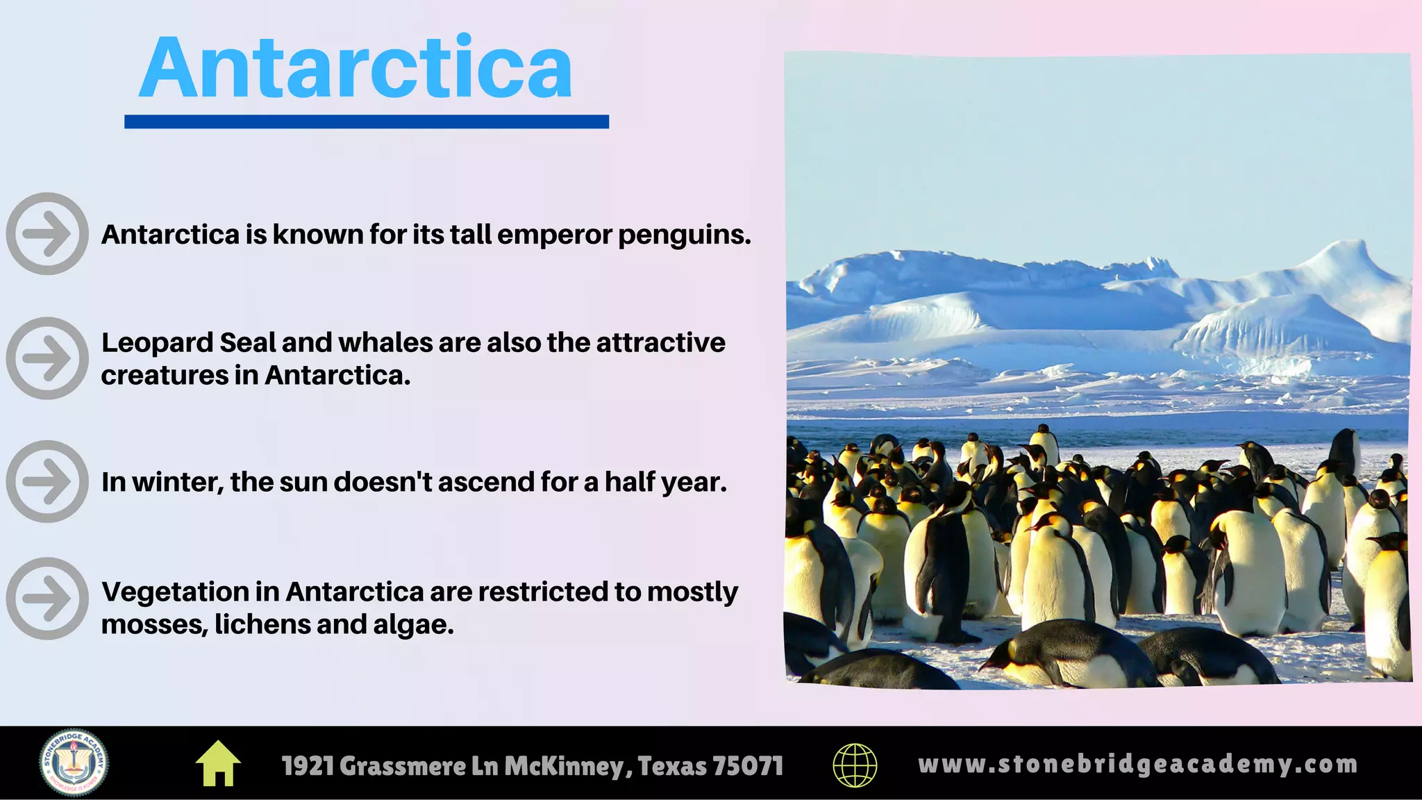 Antarctica interesting facts for kids | PDF