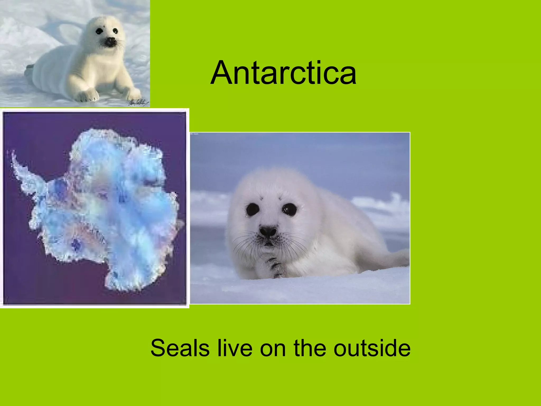 Antarctica powerpoint | PPT | Polar Travel | Travel Locations