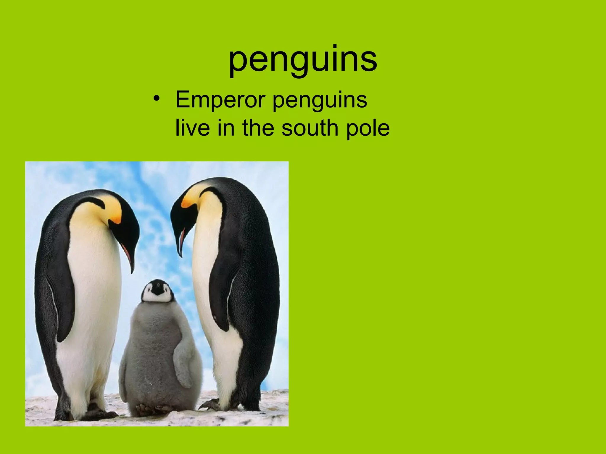 Antarctica powerpoint | PPT | Polar Travel | Travel Locations
