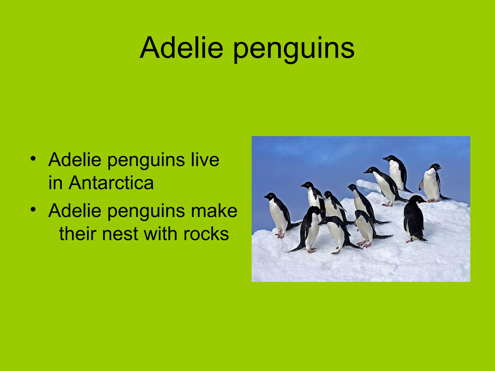Antarctica powerpoint | PPT | Polar Travel | Travel Locations
