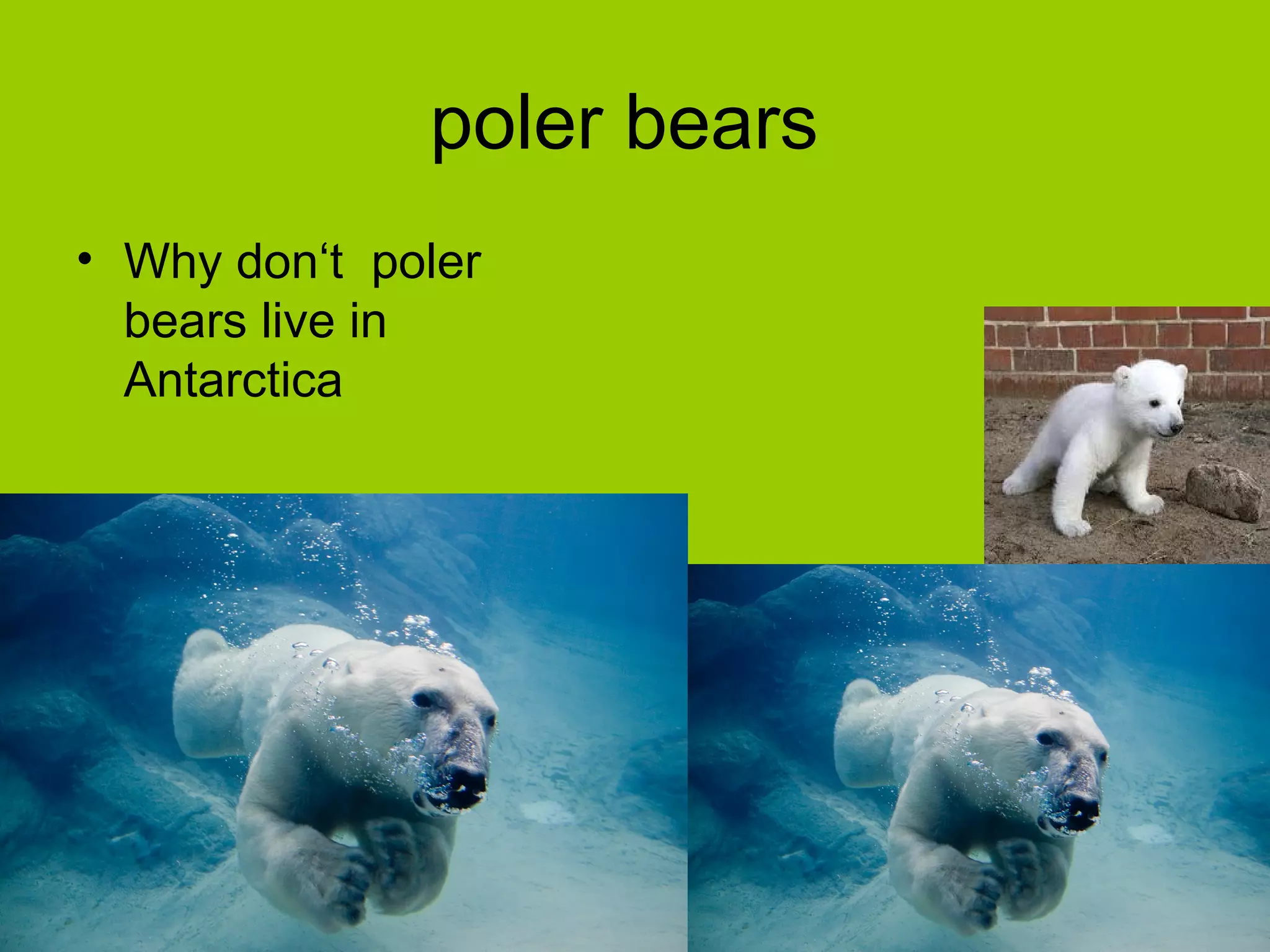 Antarctica powerpoint | PPT | Polar Travel | Travel Locations