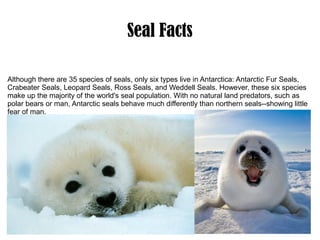 Antarctica revised ppt | ODP