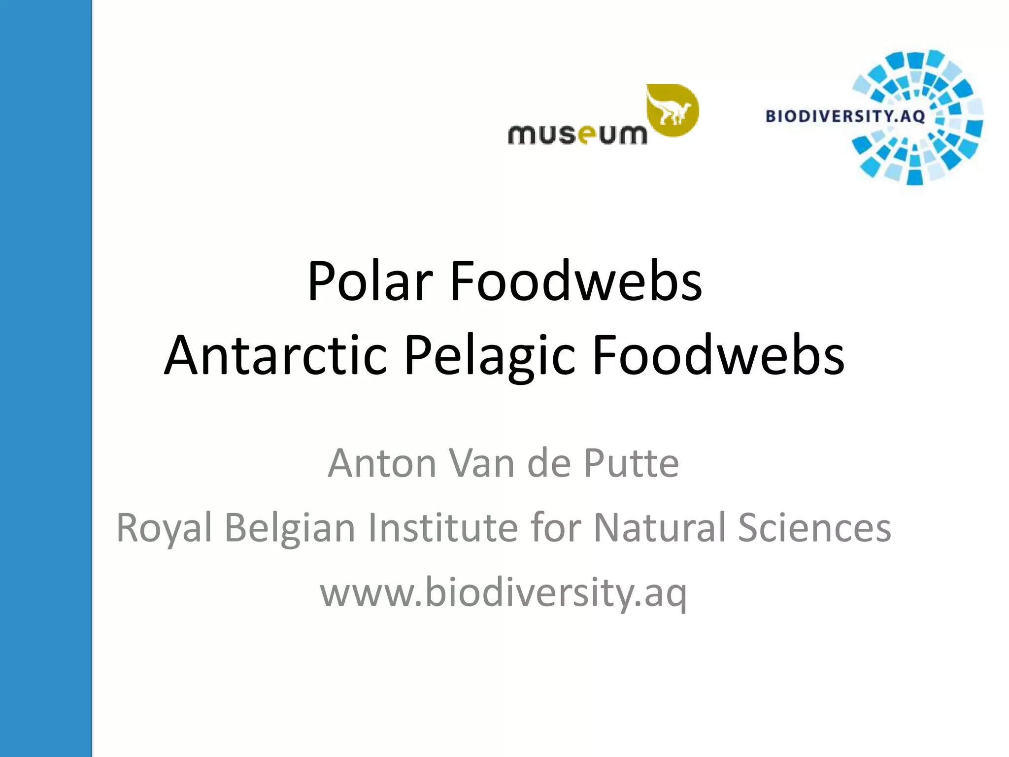 Antarctic pelagic food webs | PPT