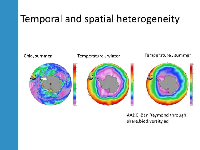 Antarctic pelagic food webs | PPT