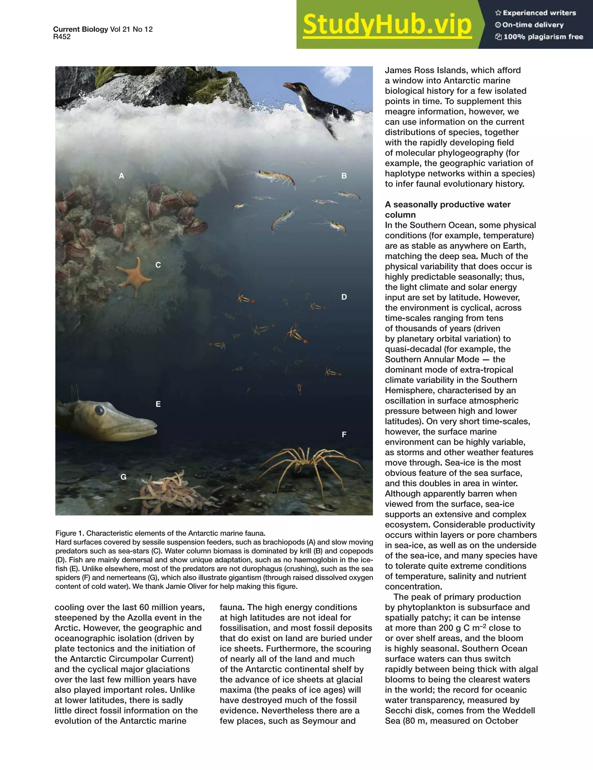 Antarctic Marine Biology | PDF