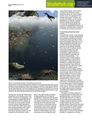 Antarctic Marine Biology | PDF | Geography | Science