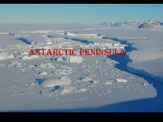 Antarctic peninsula | PPT