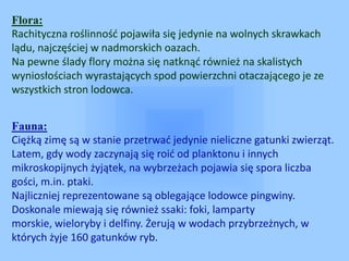 Antarktyda i arktyka | PPTX