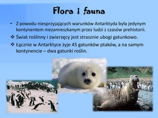 Antarktyda i arktyka | PPTX