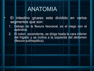 Antatomia y fisiologia del colon ok | PPT