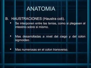 Antatomia y fisiologia del colon ok | PPT