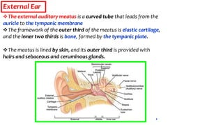 Head & Neck Anatomy the EYEBALL lec 7.pdf