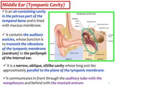 Head & Neck Anatomy the EYEBALL lec 7.pdf