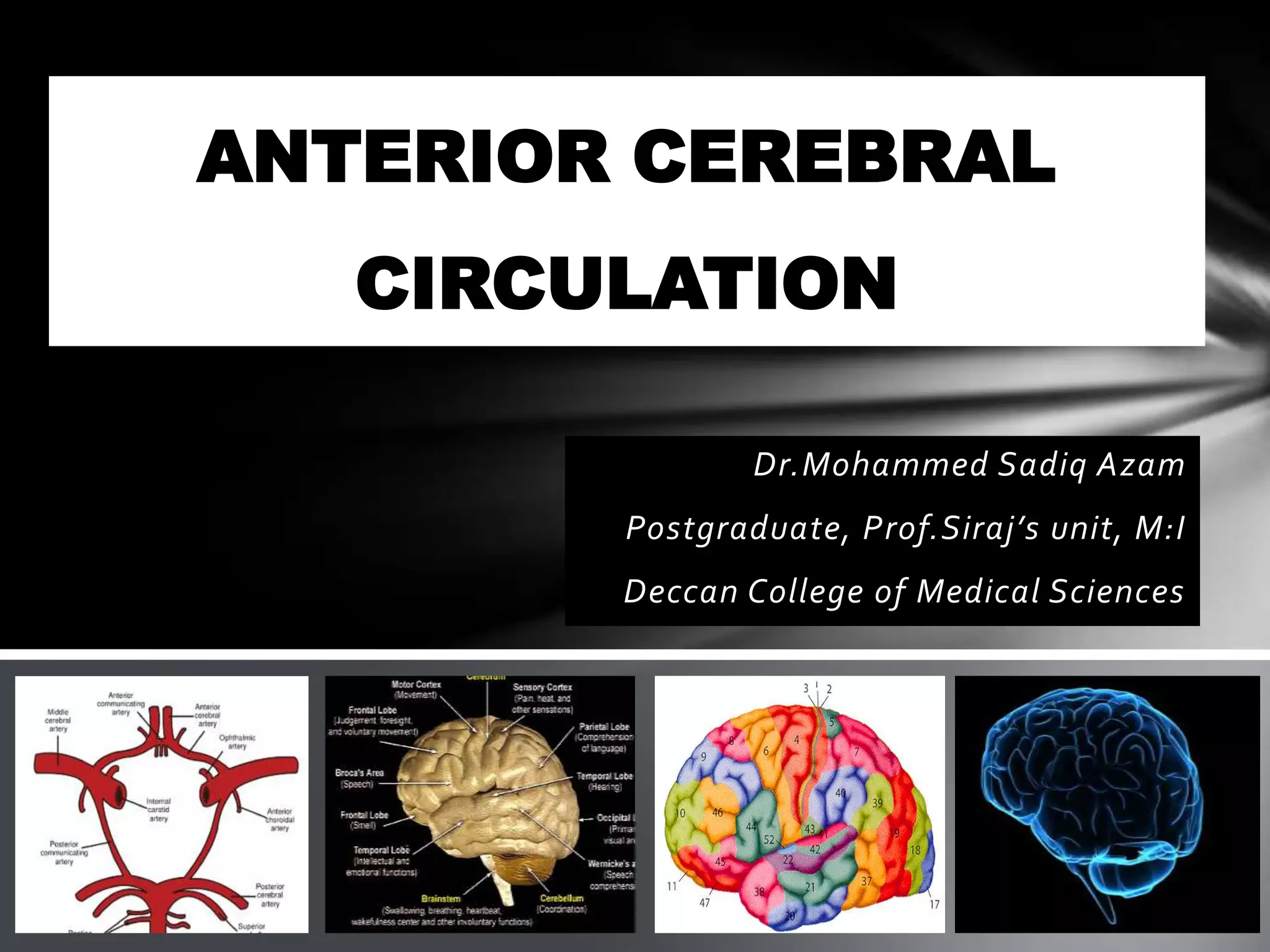 Anterior cerebral circulation | PPT