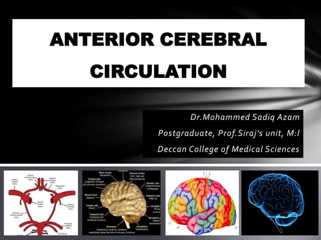 Anterior cerebral circulation | PPTX