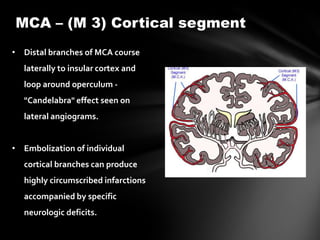 Anterior cerebral circulation | PPTX
