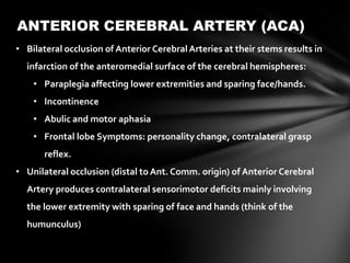 Anterior cerebral circulation | PPTX