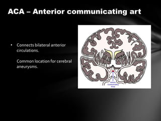 Anterior cerebral circulation | PPTX