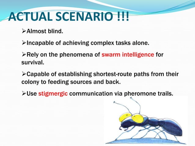 Ant colony optimization | PPTX | Computer Networking | Computing