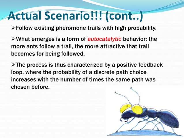 Ant colony optimization | PPTX | Computer Networking | Computing