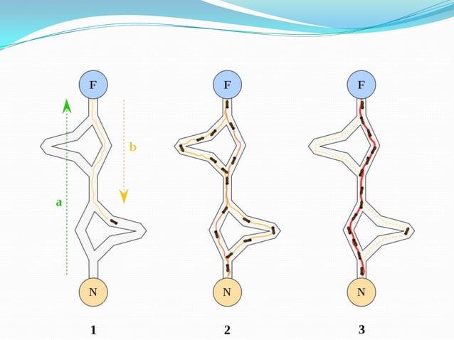 Ant Colony Optimization Pptx Computer Networking Computing
