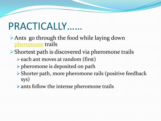 Ant colony optimization | PPTX | Computer Networking | Computing