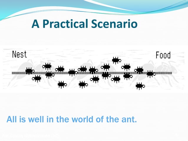 Ant Colony Optimization Pptx Computer Networking Computing