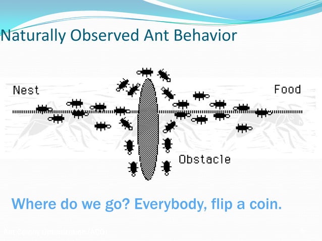 Ant colony optimization | PPTX | Computer Networking | Computing