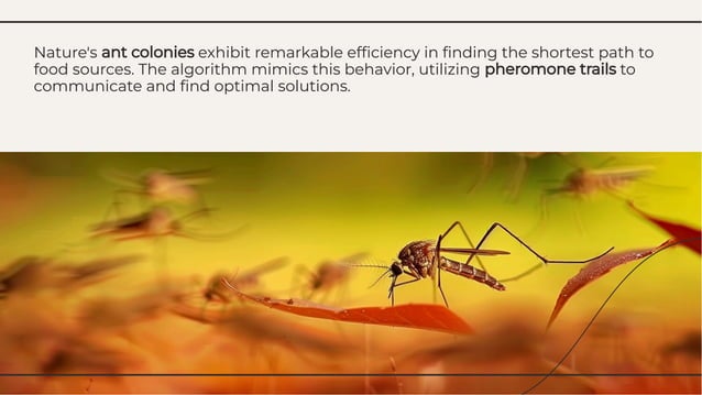 Ant Colony Optimization Working And Explanation Pdf Beekeeping