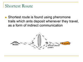 An overview of antcolonyoptimization.ppt